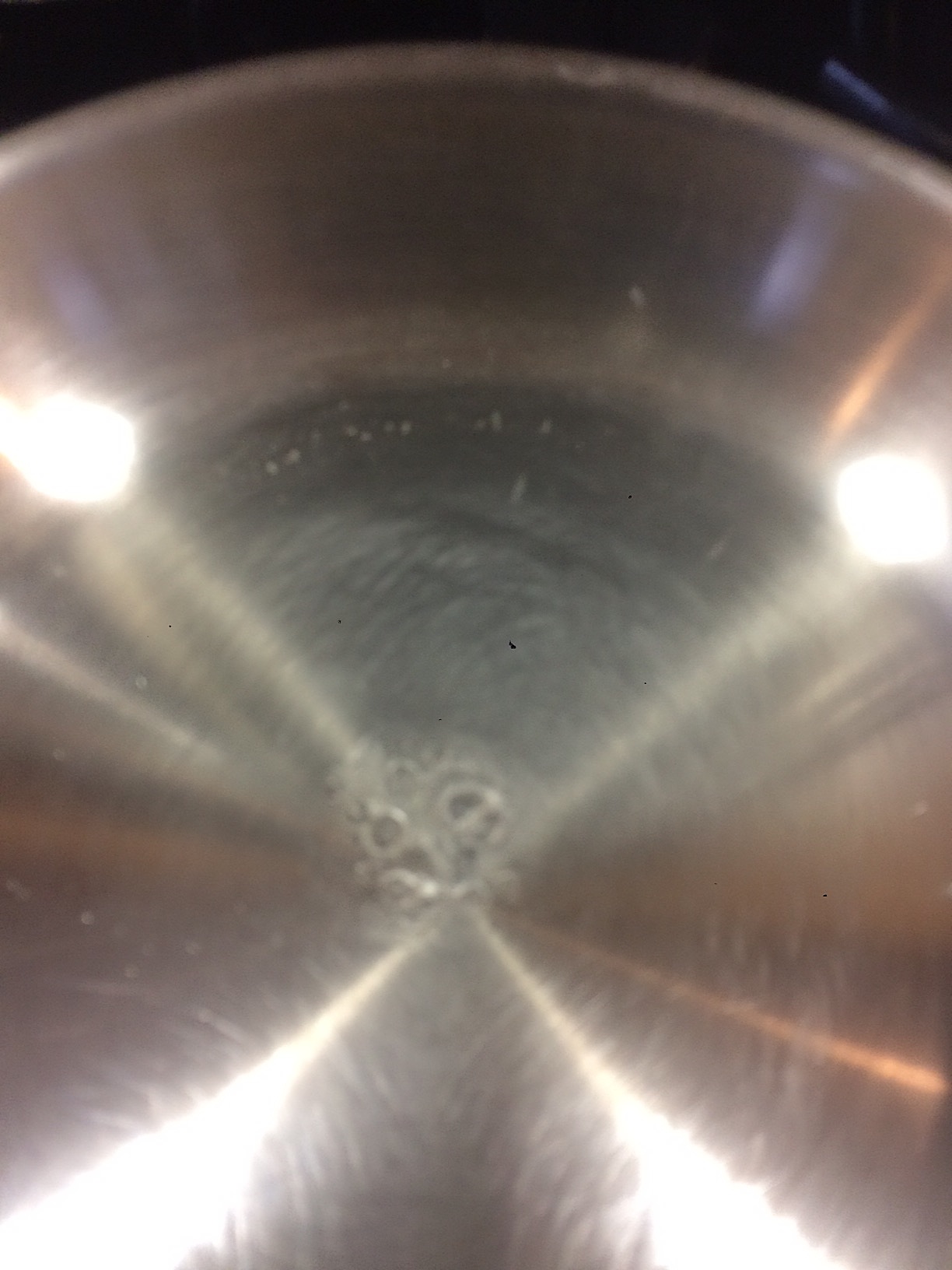 How to Cook with Stainless Steel – The Intrepid Gourmet