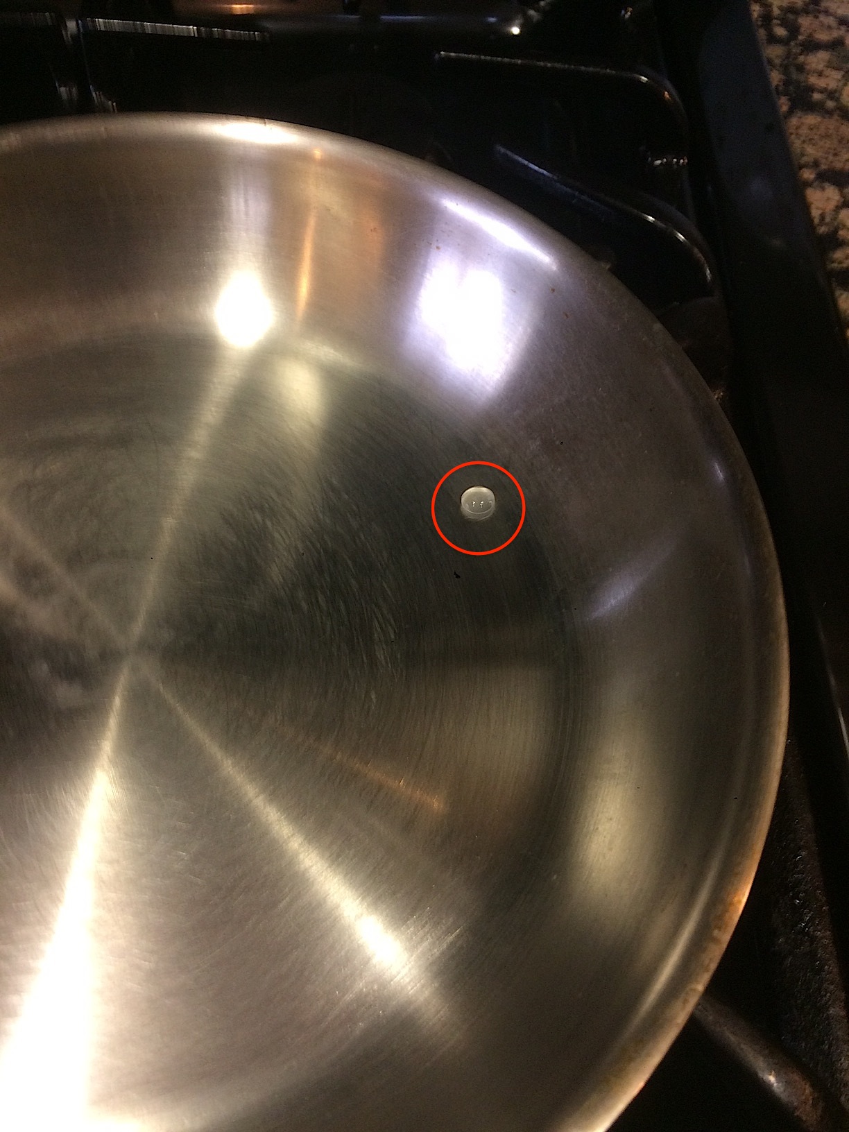 How to Cook with Stainless Steel – The Intrepid Gourmet